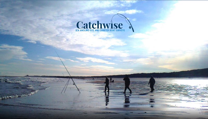 Catchwise - Substance